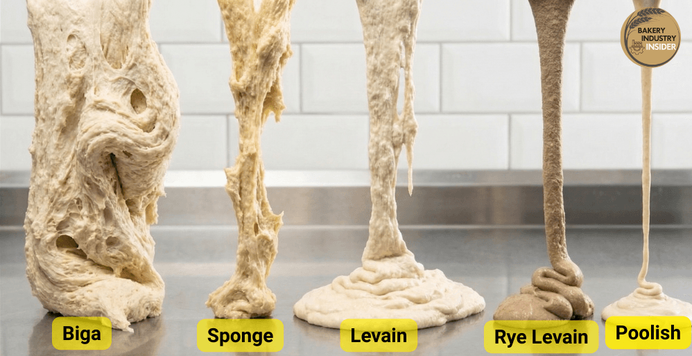 Bread Fermentation & Preferments Science | Bakery Insider